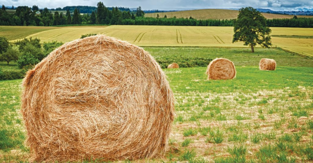 Hay Rolls – Oregon Family Farm Association